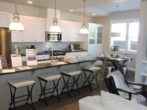 Home - Chester Cabinets & Closets